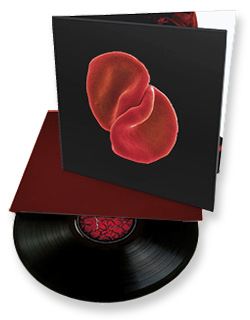 Scratch My Back Peter Gabriel